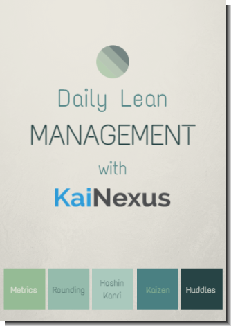 Free Guide To Daily Lean Management