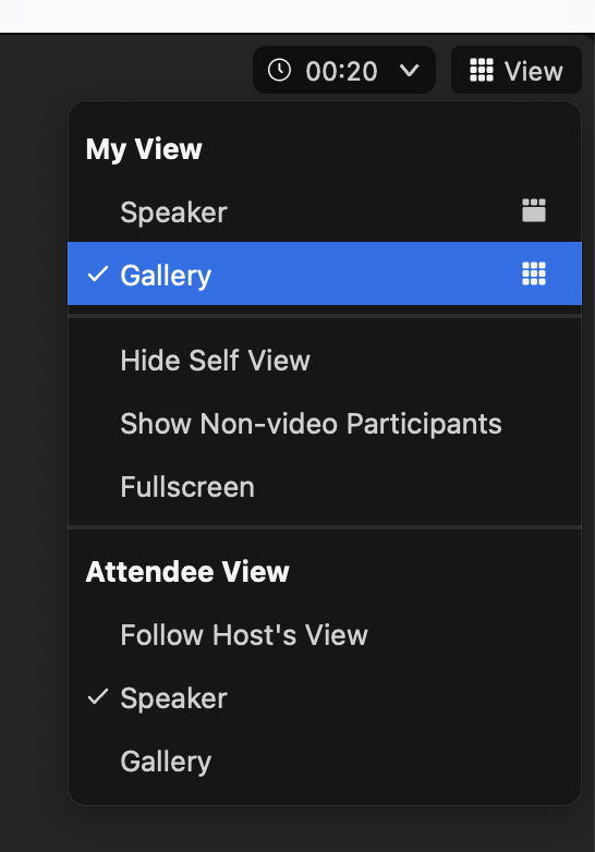Experimenting with an "Audience View" for Webinar Presenters